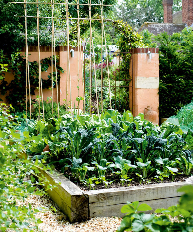 Don’t plant just yet: 7 early March jobs to replenish your raised ...
