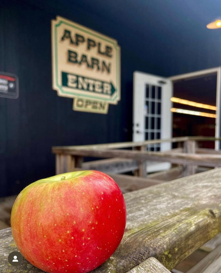 Our Favorite Apple Orchards in Minnesota