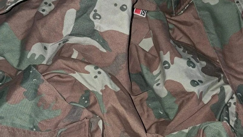 Corruption in uniform: SANDF members arrested at Beitbridge Border