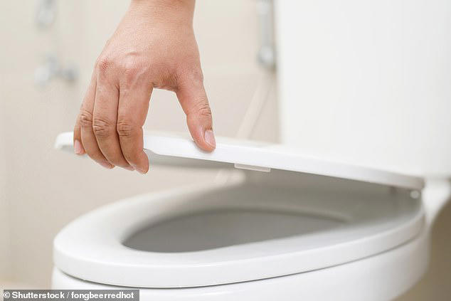Expert reveals how often you should urinate a day - and how many toilet ...