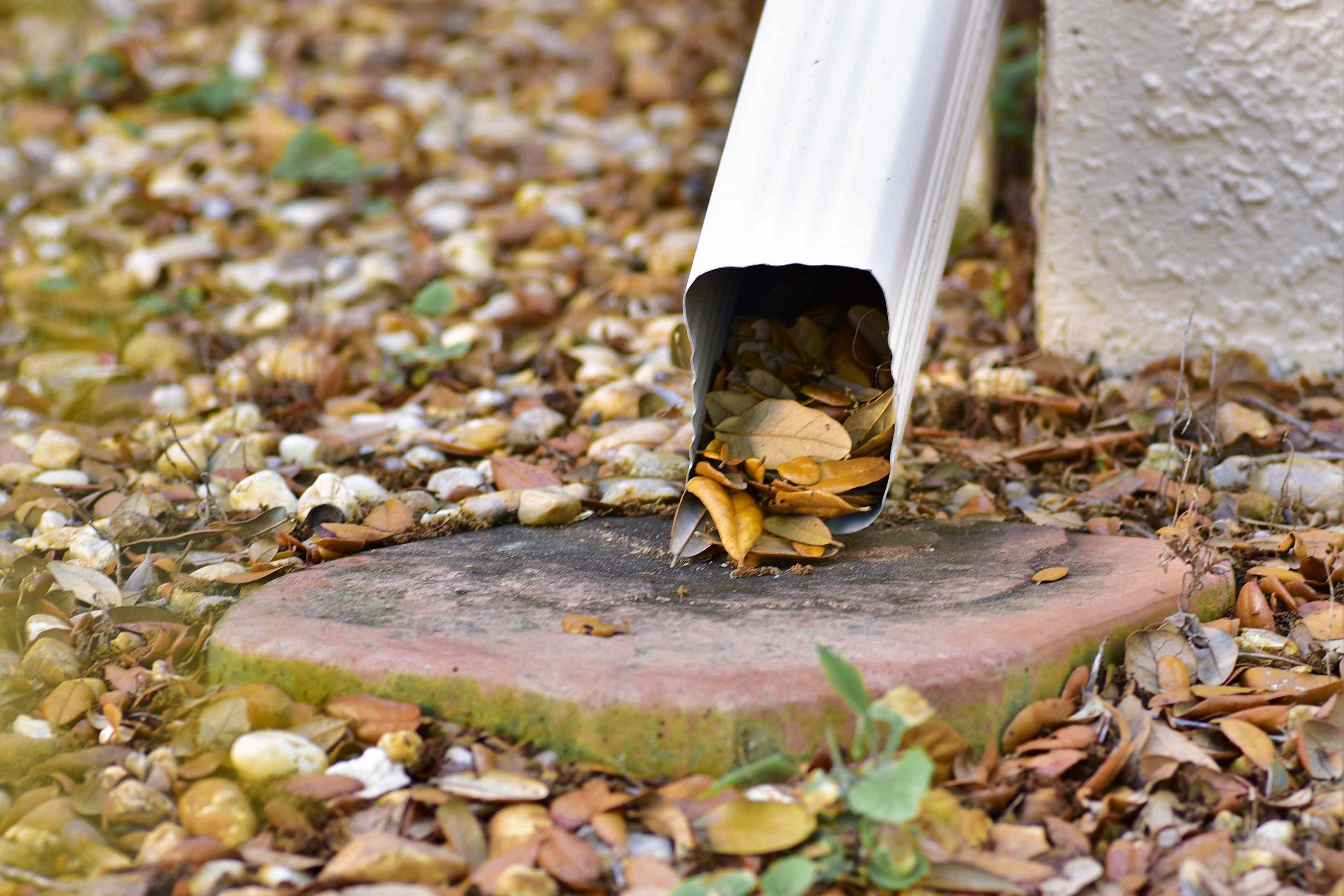 Forget the Hacks—This Is How Plumbers Actually Clear Your Clogged ...