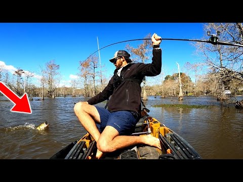 Monster fish surprise delivers biggest catch of the year