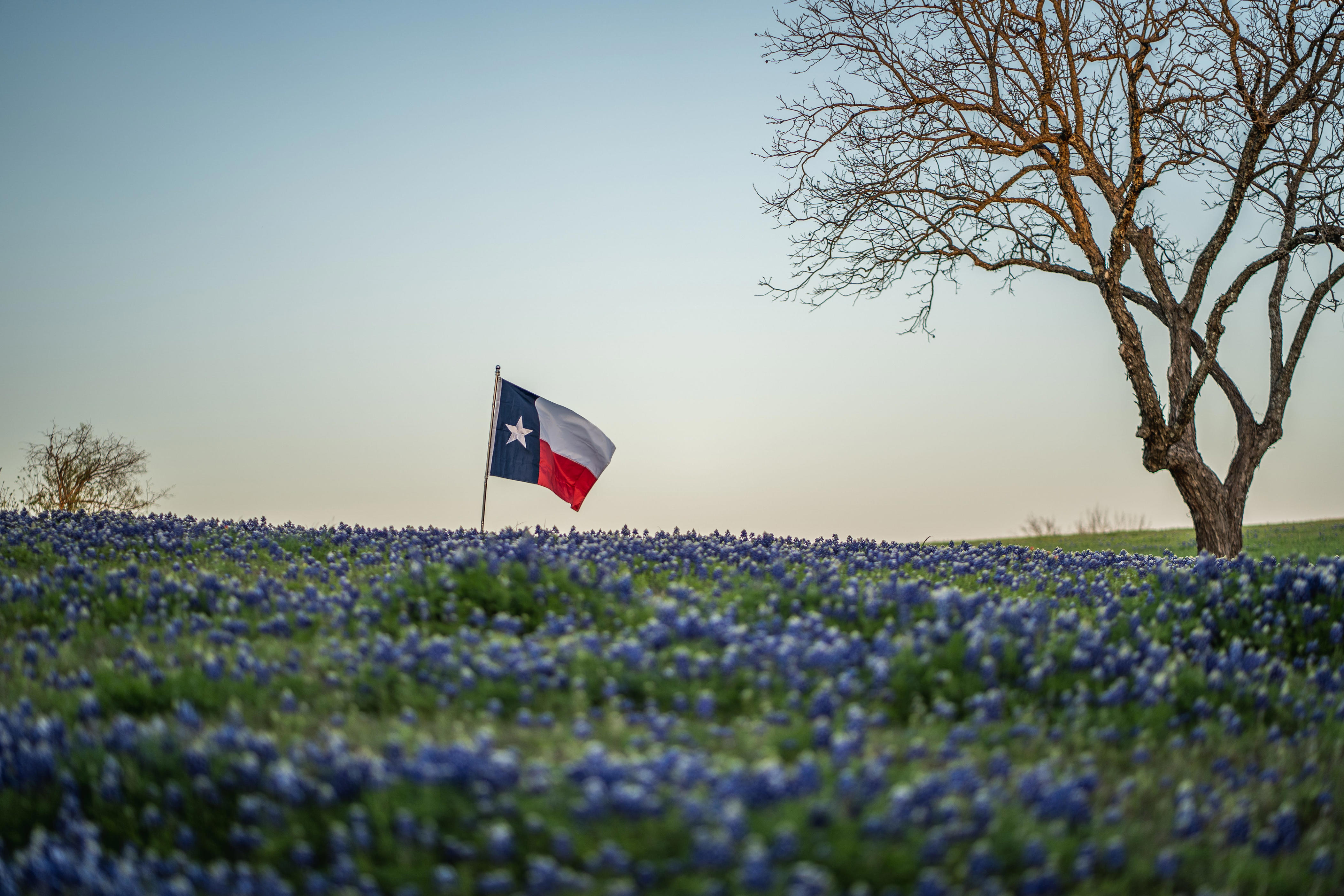 Texas ranks second 'most diverse state' in new national study