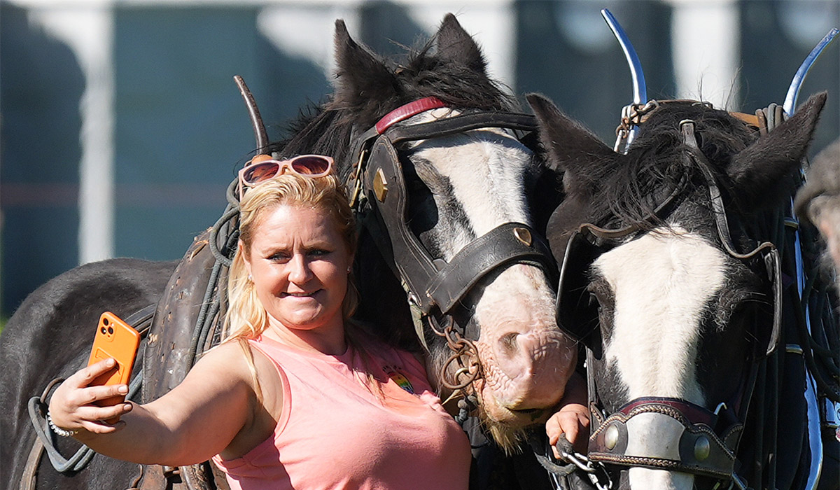'How's she cutting' 10 things you will hear and see at the Ploughing ...