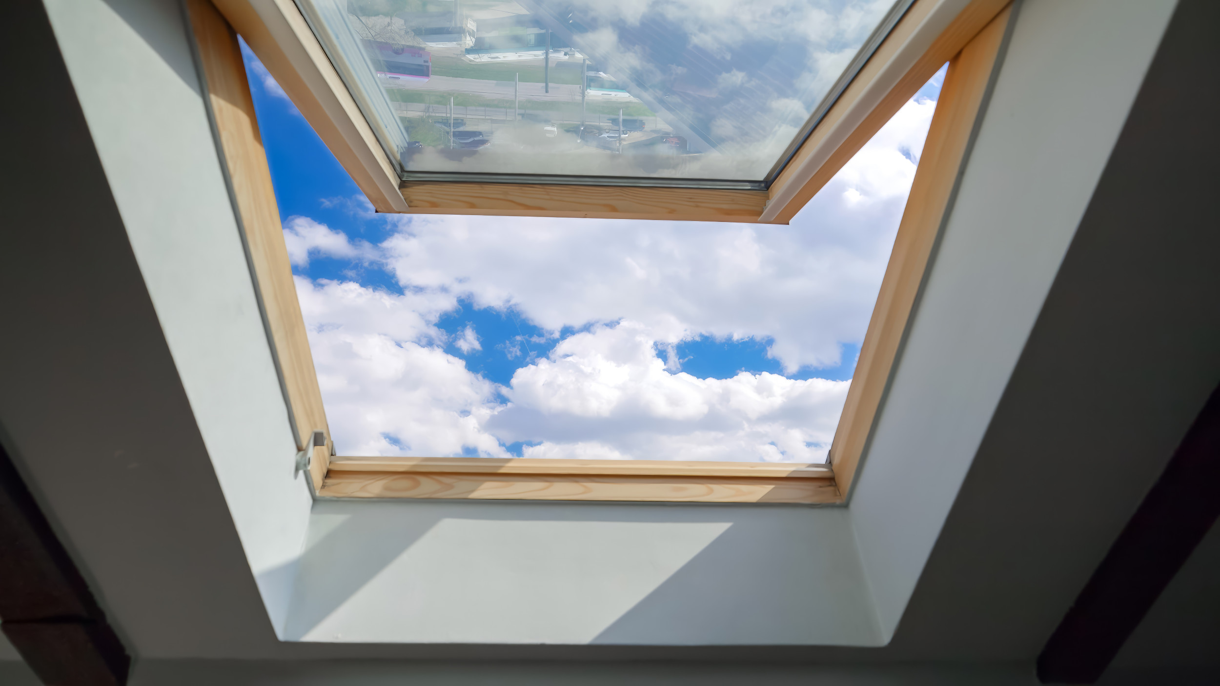 Cat owner looks up at roof skylight—nobody prepared for what's staring back