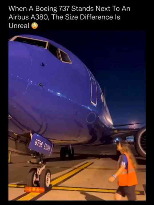 The Difference Between A Boeing 737 And Airbus A380