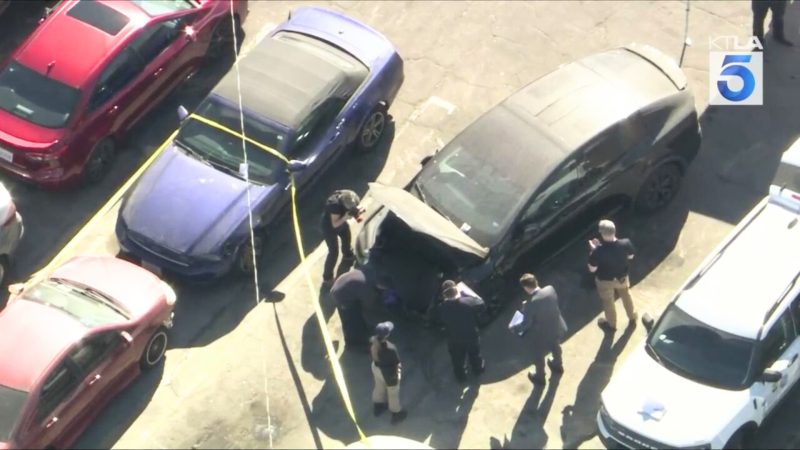 Body found in Tesla registered to singer identified as missing ...