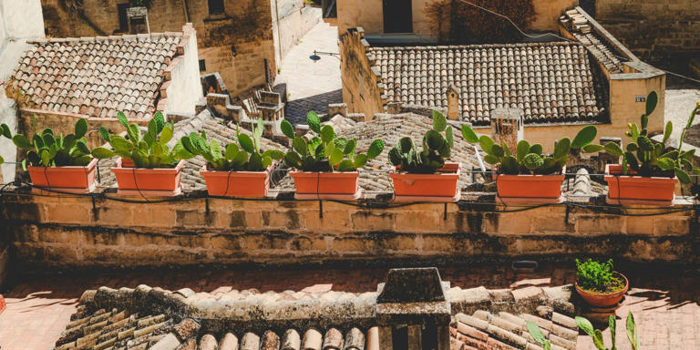 Living in Latronico: affordable homes and peaceful life in Basilicata