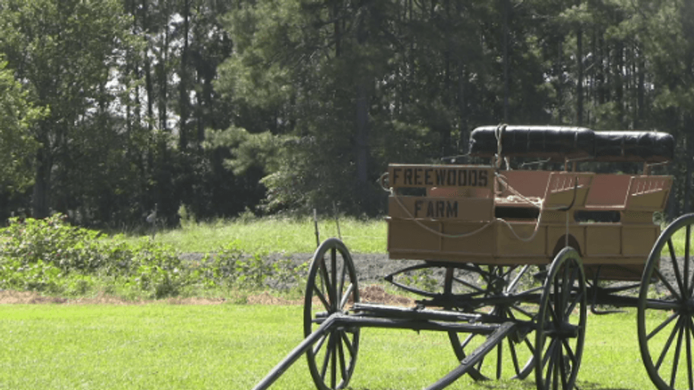 Historic Freewoods Farm transitions to new management under SC State ...