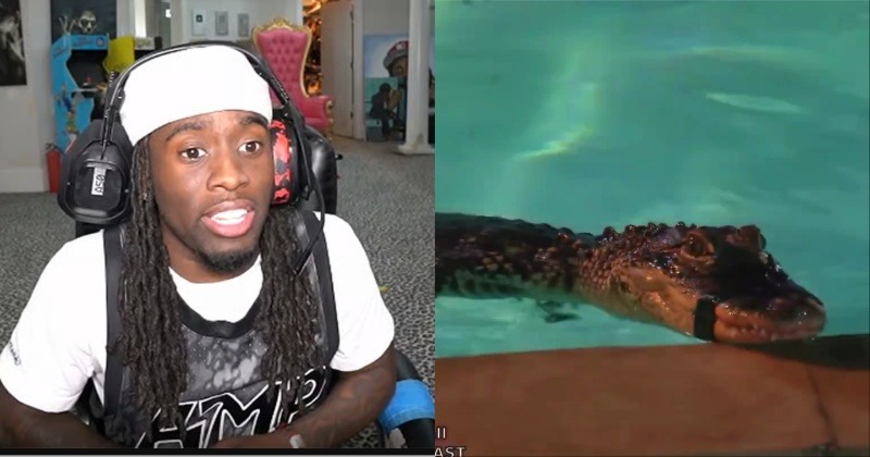 Kai Cenat shocks fans by sleeping in pool with alligators during ...