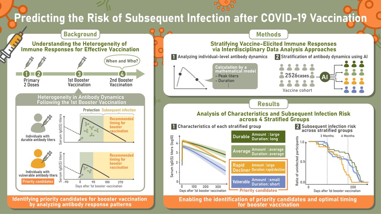COVID-19 vaccine responses show four patterns, with 'rapid-decliners ...