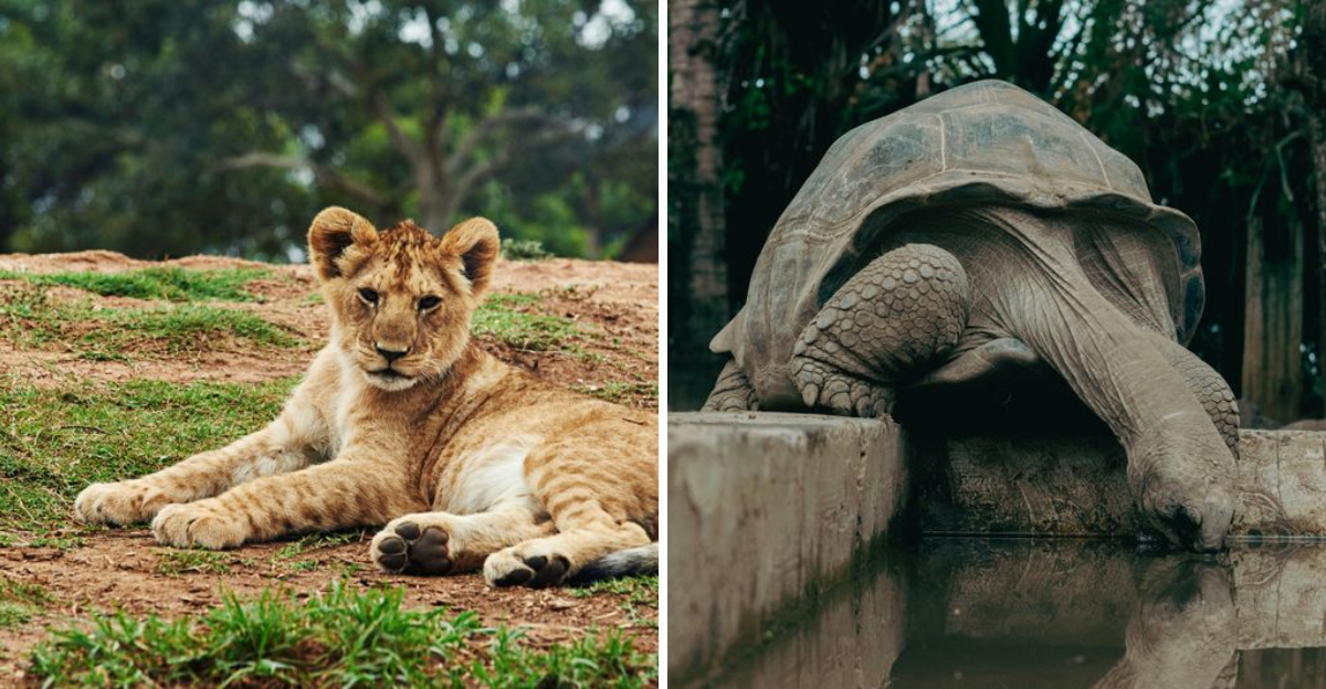 14 Of The Most Popular Wild Animals That Ever Lived