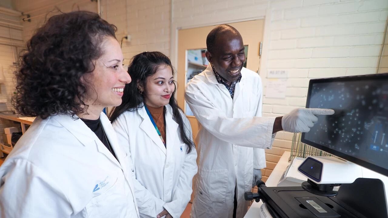 DNA folding more important for cell function than previously thought