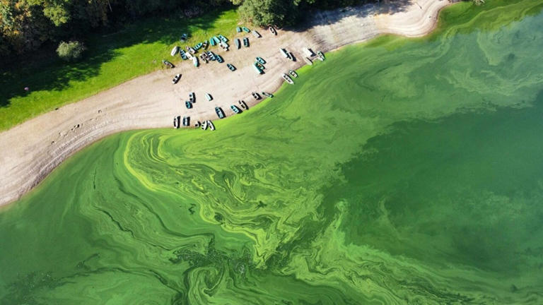 How Luxembourg detects microbes in its water supply before they pose a ...