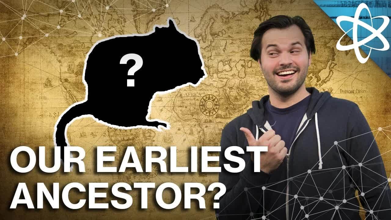 How Different Early Humans Looked Compared to Us?