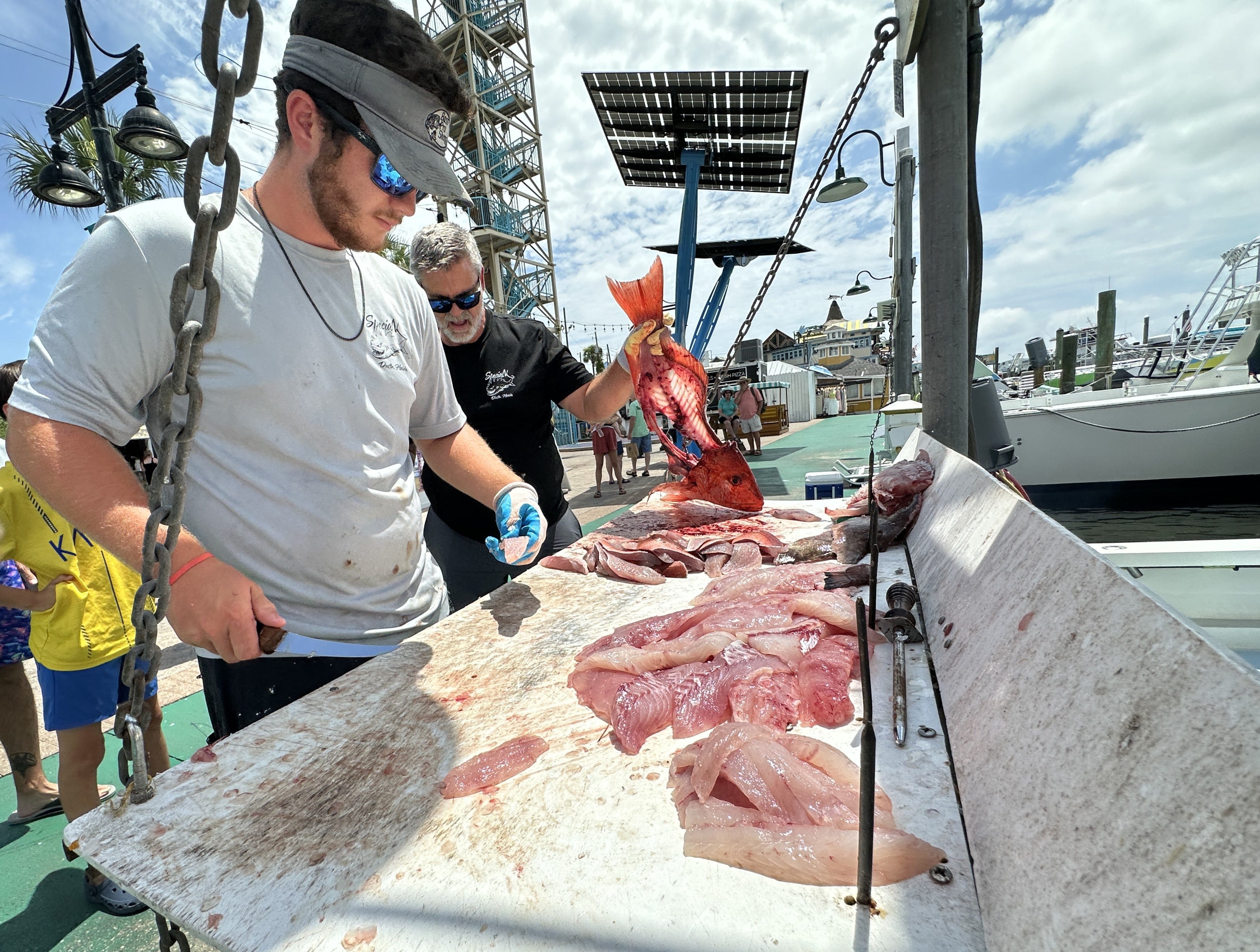 'A bit thin this year': Destin captains say 107-day snapper season isn ...