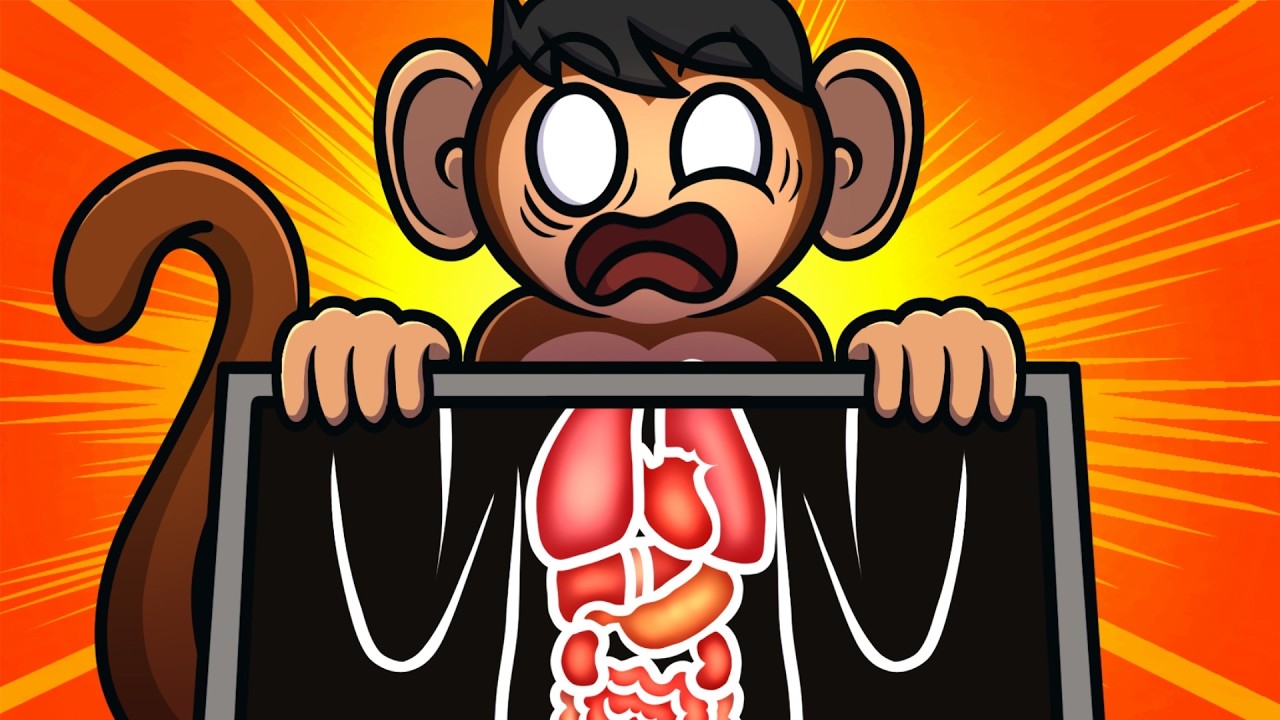 Are your organs different from a monkey's?