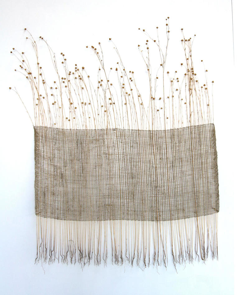 Alice Fox - ‘Flaxen’ exhibition in Lisburn