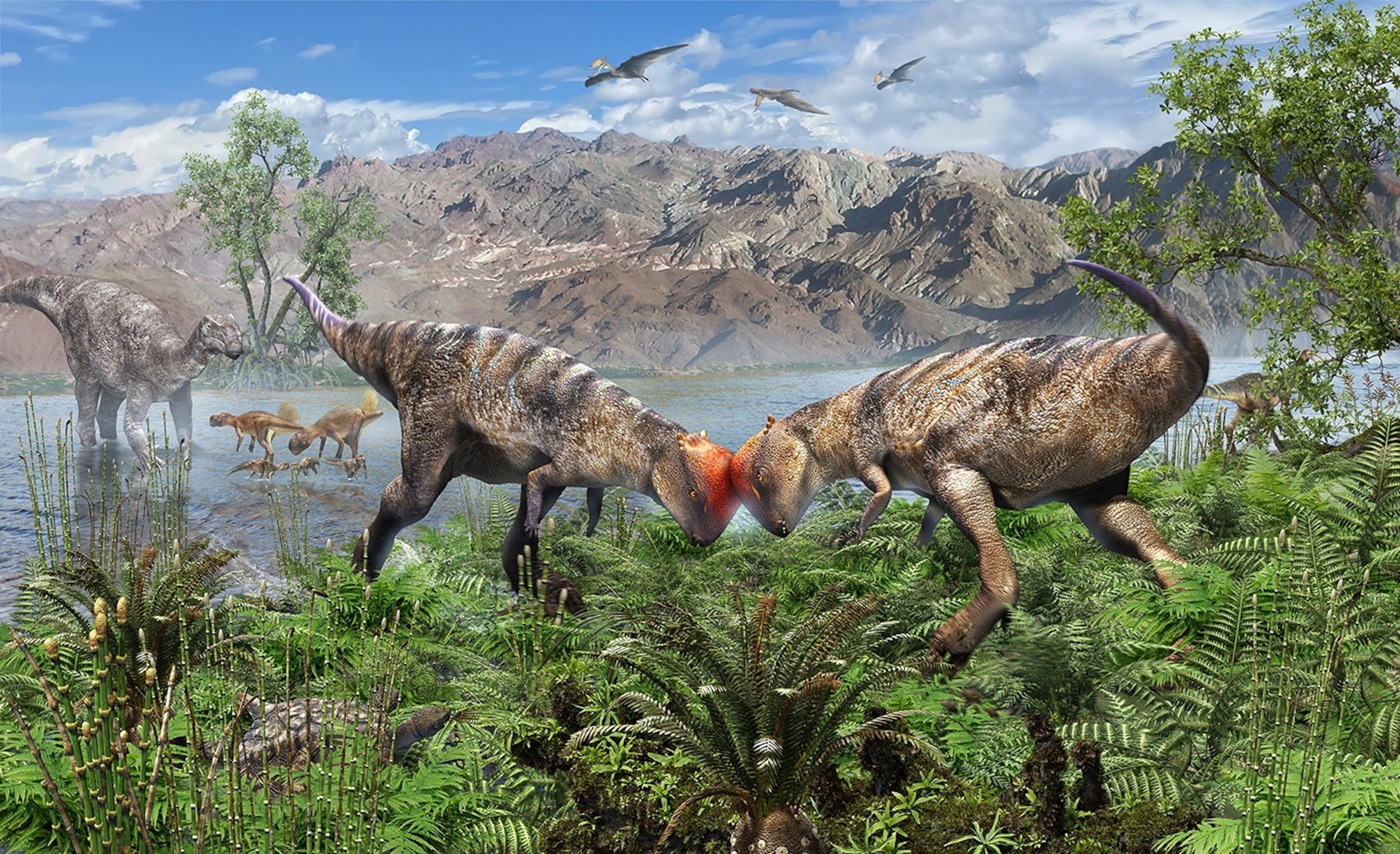 Paleontologists discover earliest dome-headed dinosaur