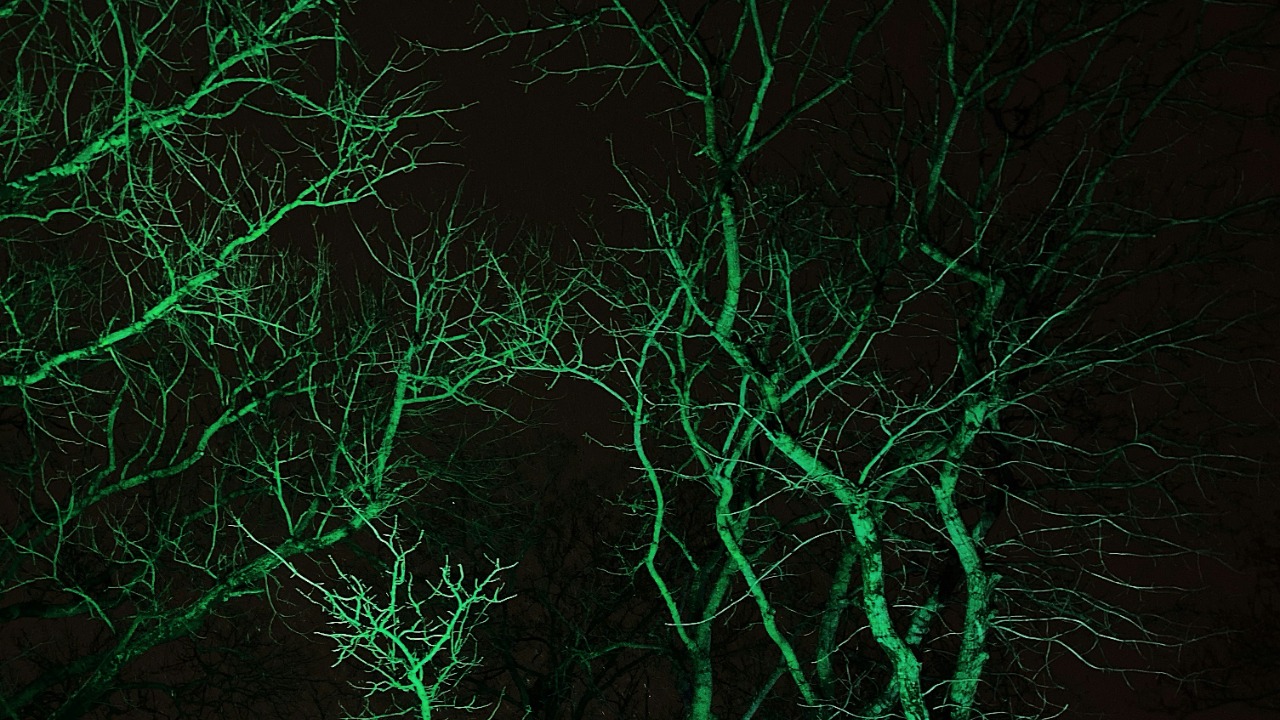 Bioengineered trees glow to replace streetlights