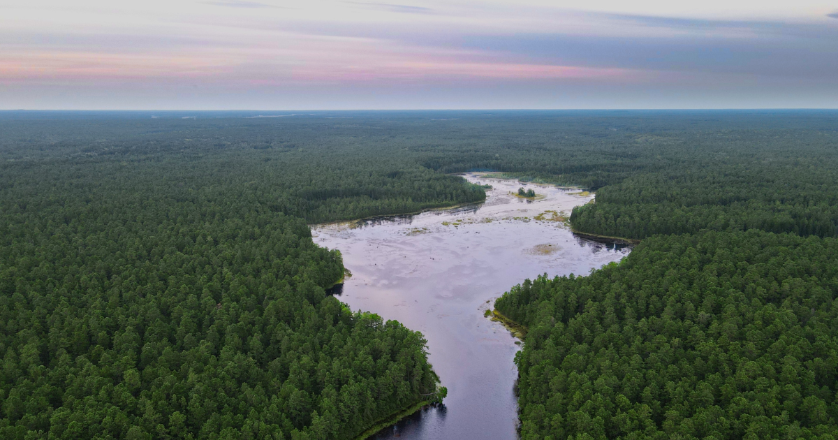 The Jersey Devil: New Jersey's Most Chilling Urban Legend