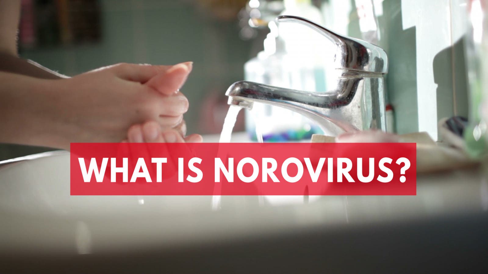 What Is Norovirus?
