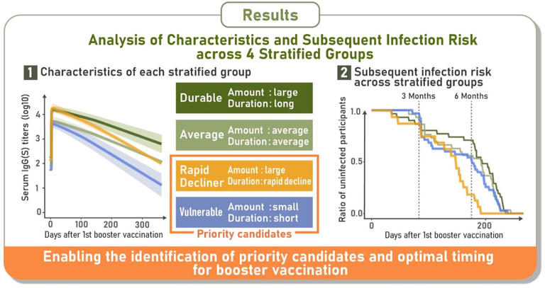 COVID-19 vaccine responses show four patterns, with 'rapid-decliners ...