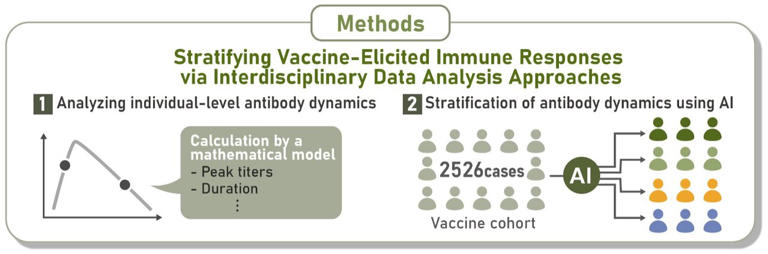 COVID-19 vaccine responses show four patterns, with 'rapid-decliners ...