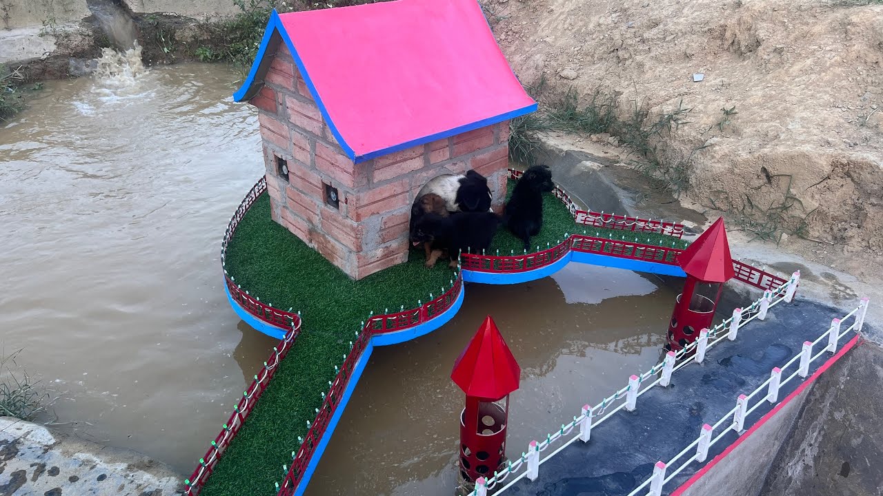I built a hydroelectric dam for my dog! ️