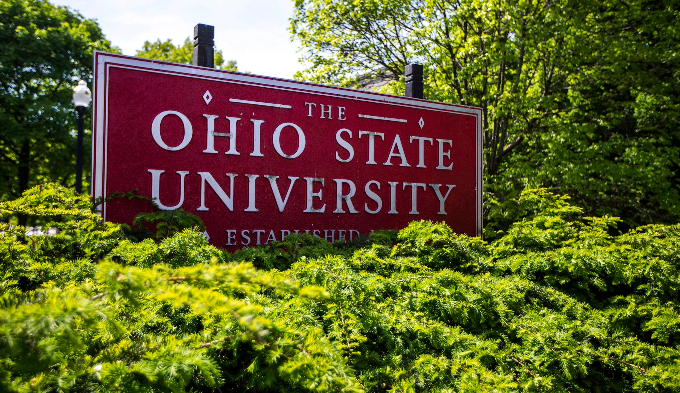 Pro-Palestine influencer sues Ohio State after disenrollment