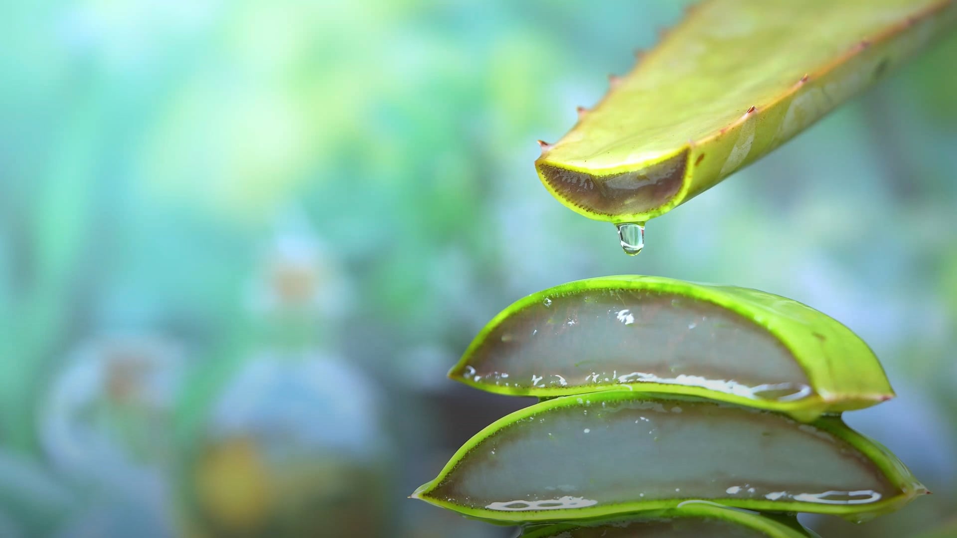 The Unexpected Health Benefits Of Aloe Vera Juice