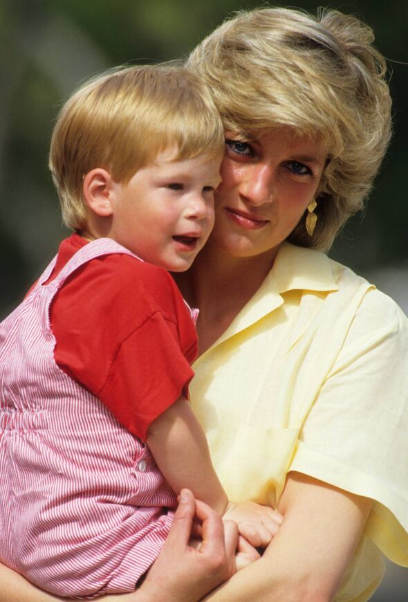 Princess Diana's 'rock' says she would be 'disappointed in Prince Harry'
