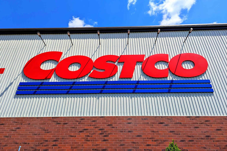 Costco fans are going wild for these $30 faux florals