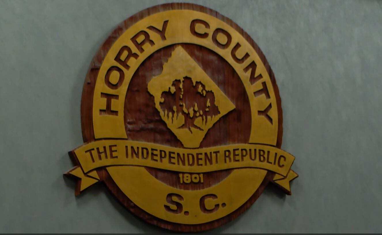 Horry County launches new department to coordinate behavioral health ...