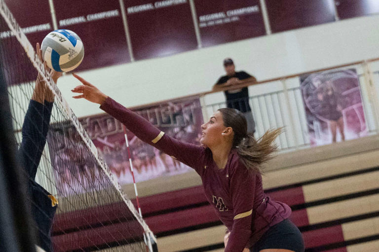 See photos as Dexter volleyball battles Saline