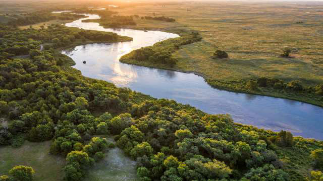 Researchers make surprising discovery that could transform farmland as ...