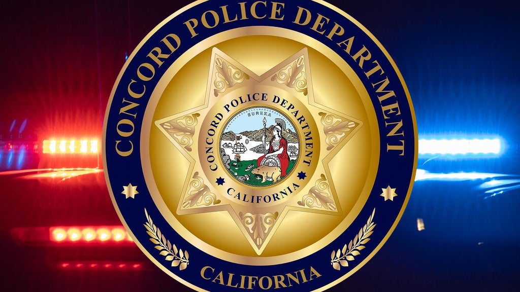 Employee pepper-sprayed during smash-and-grab at Concord's Sunvalley ...