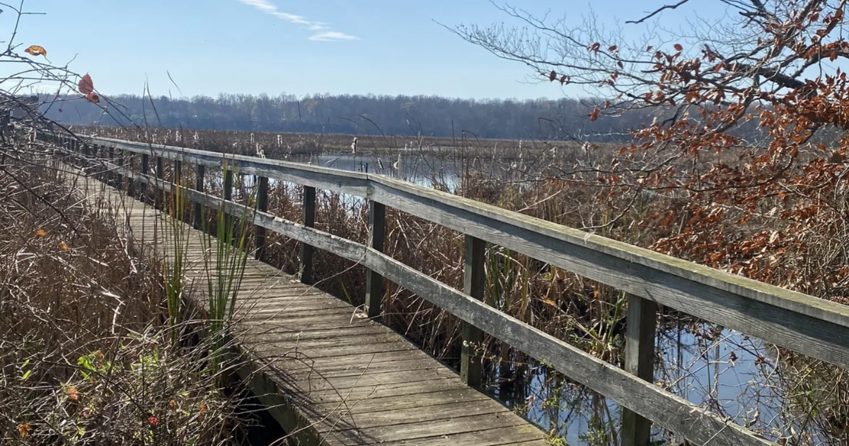 Maryland's Jug Bay Wetlands Sanctuary Is an Underrated Fall Destination