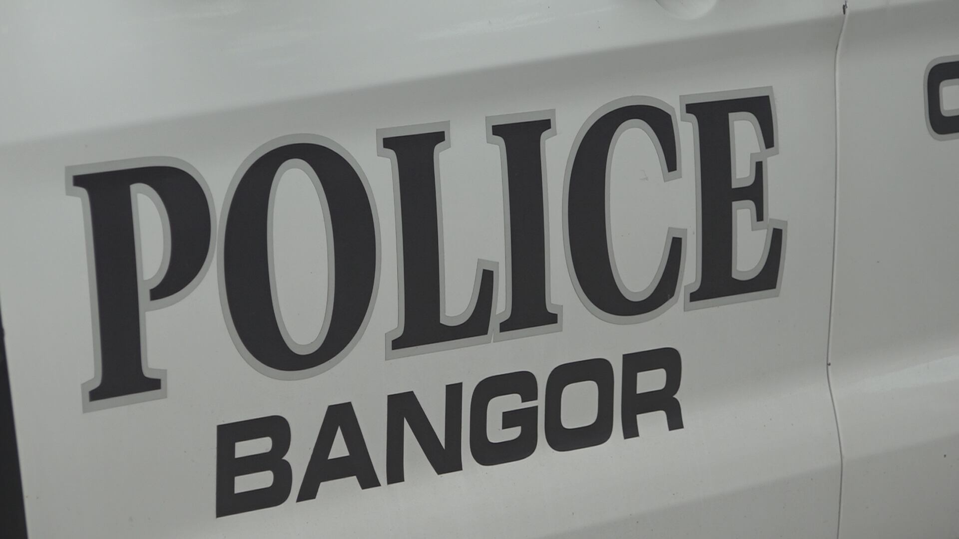 Man arrested for trying to light car on fire with dog inside