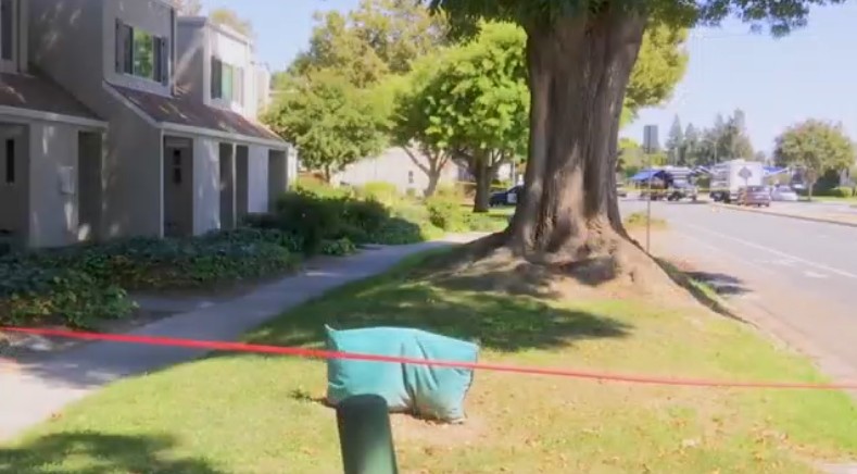 Victim in San Jose triple homicide identified