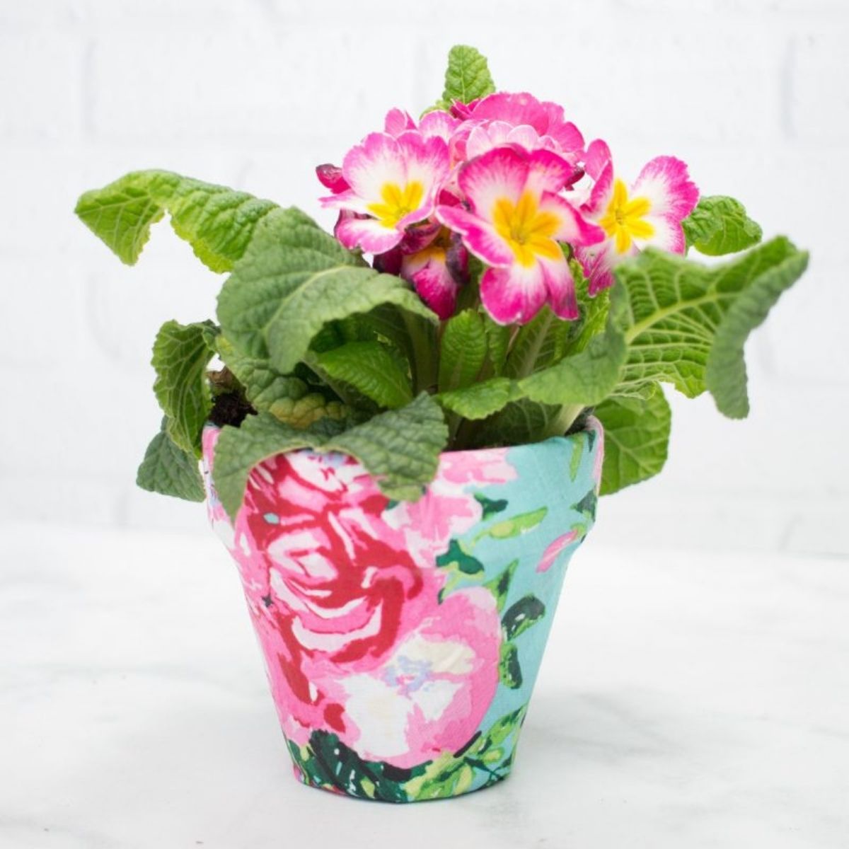 34 No-Sew Fabric Crafts