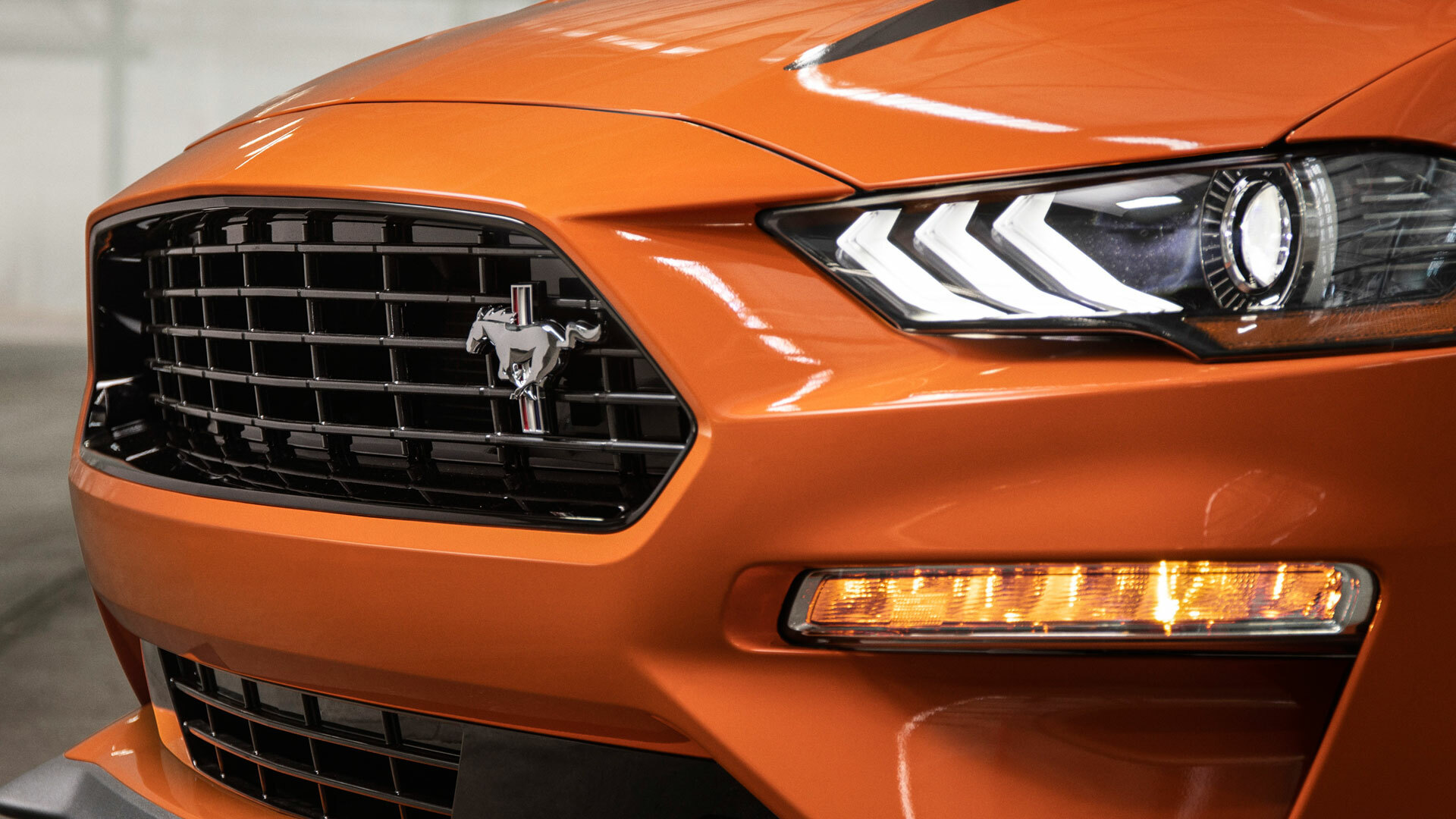 Mustang Driver Floors It Then Everything Goes Sideways At Ford Car Show