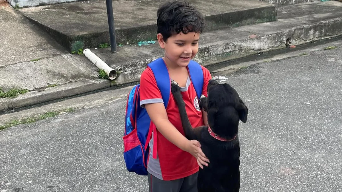 Cachorro retorna para casa após dois meses desaparecido