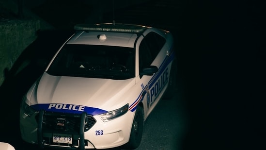 'Who killed Celeste Rivas?': Big questions in D4vd Tesla case; police ...