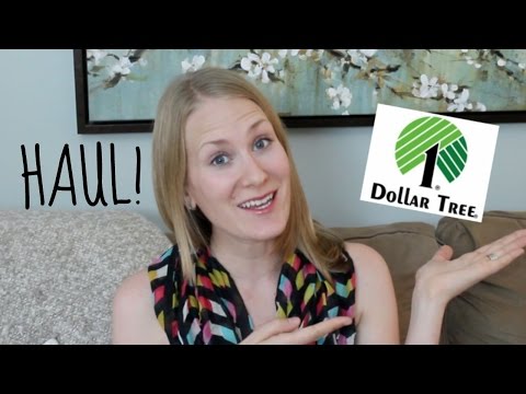 DOLLAR TREE HAUL | New Products, VidCon & more!