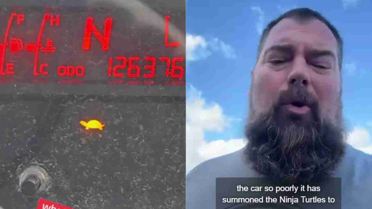 Turtle light on the car dashboard alerts drivers to serious problems