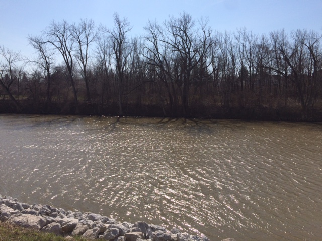 Campbell Soup admits to dumping waste into river in Ohio, violating ...