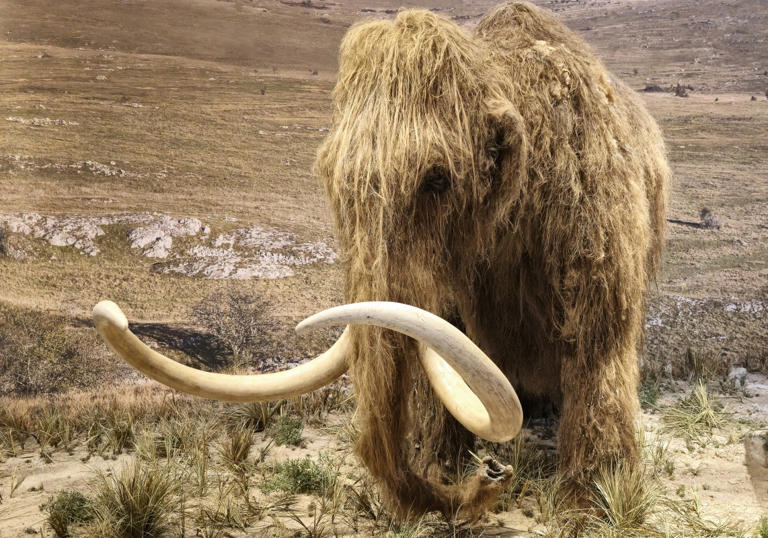 Bioscience Company Inches Towards Resurrecting the Woolly Mammoth, Dodo ...