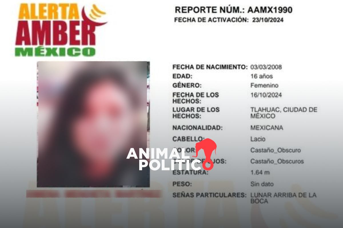Alerta AMBER: qué es, qué se toma en cuenta para activarla y cómo ...