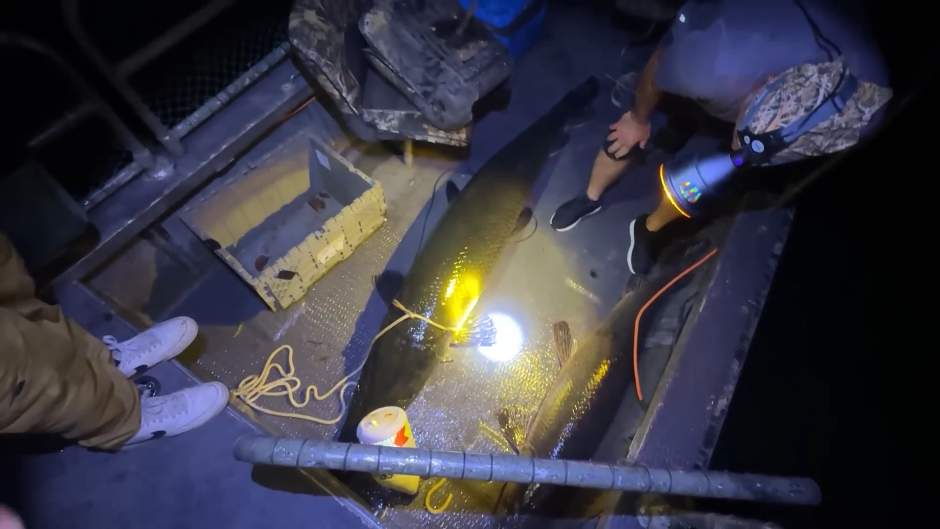 Giant Alligator Gar Fishing on the Bayou